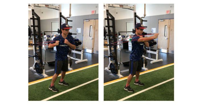 4 Pressing Exercise Variations For Baseball Players - Elite Baseball ...